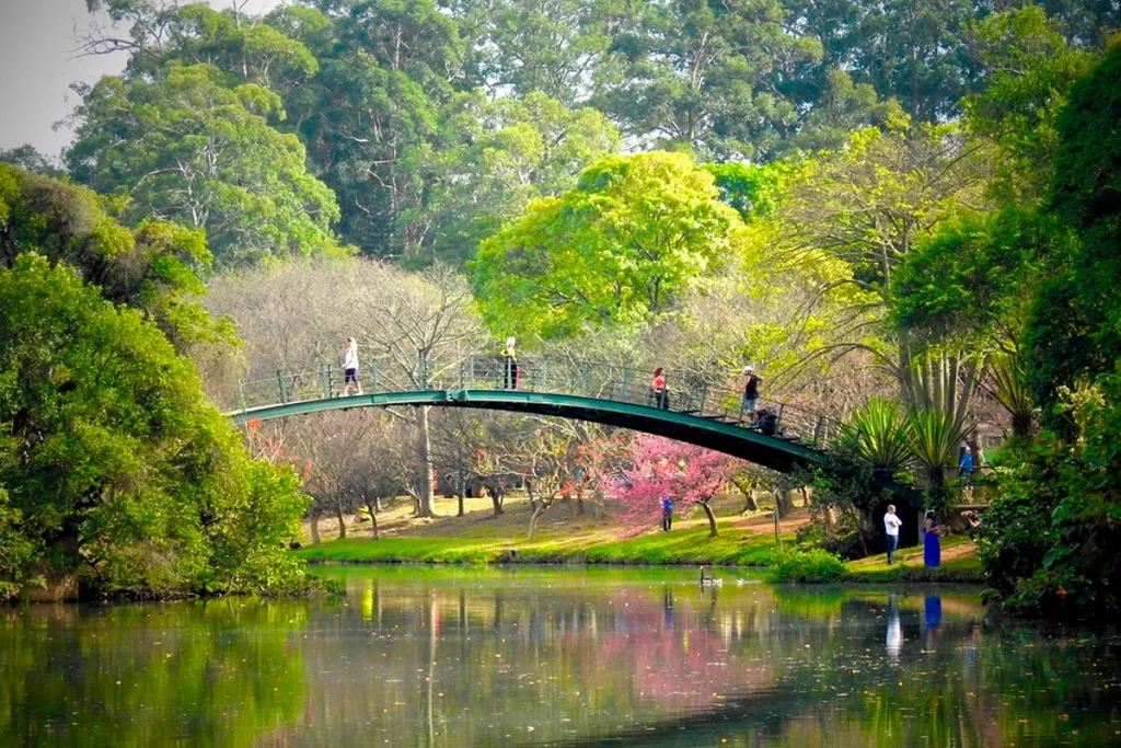 São Paulo em Agosto: A Metrópole que Brilha no Inverno - Roterin